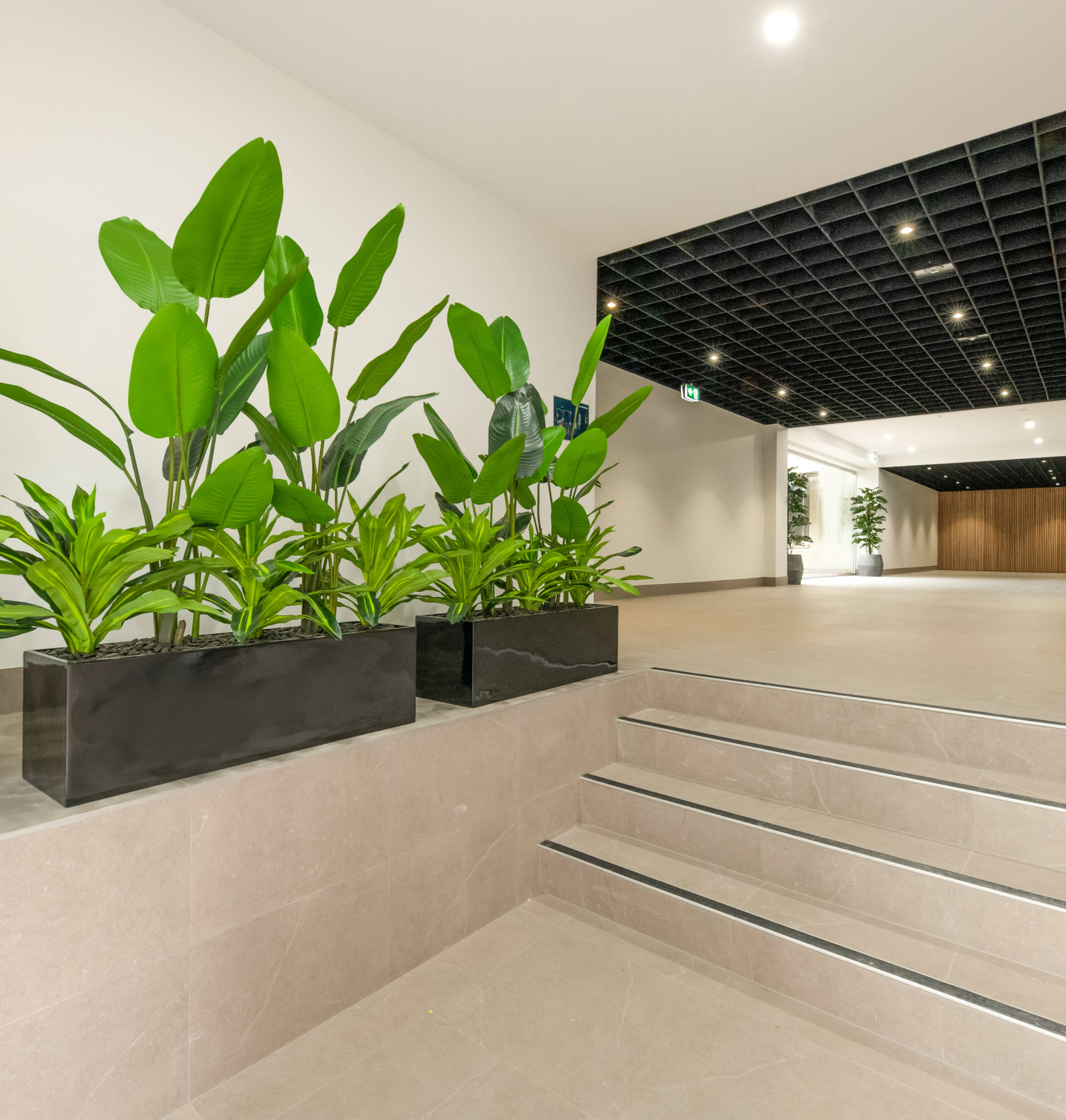 300 Wakefield Street | JLL Properties - AU