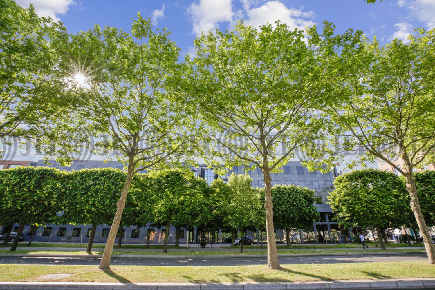 bureaux à louer - RIVER SEINE 92150 Ile-de-France SURESNES (84484 ...
