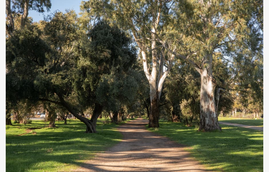 174 Fullarton Road | 174 Fullarton Road, | Dulwich properties | JLL ...